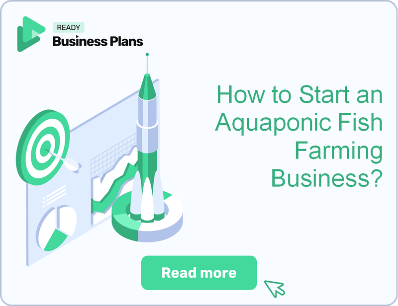 How to Start an Aquaponic Fish Farming Business? – ReadyBizPlans.com