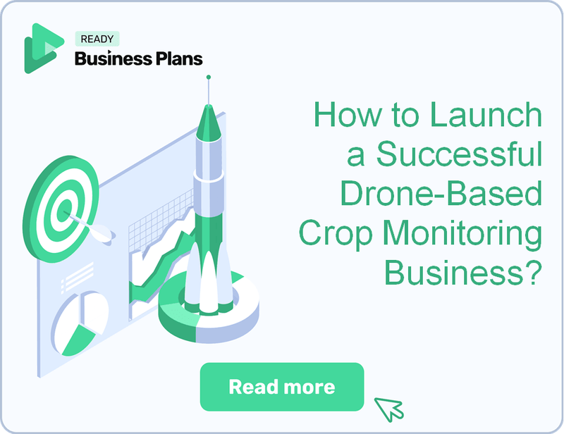 How to Launch a Successful Drone-Based Crop Monitoring Business ...
