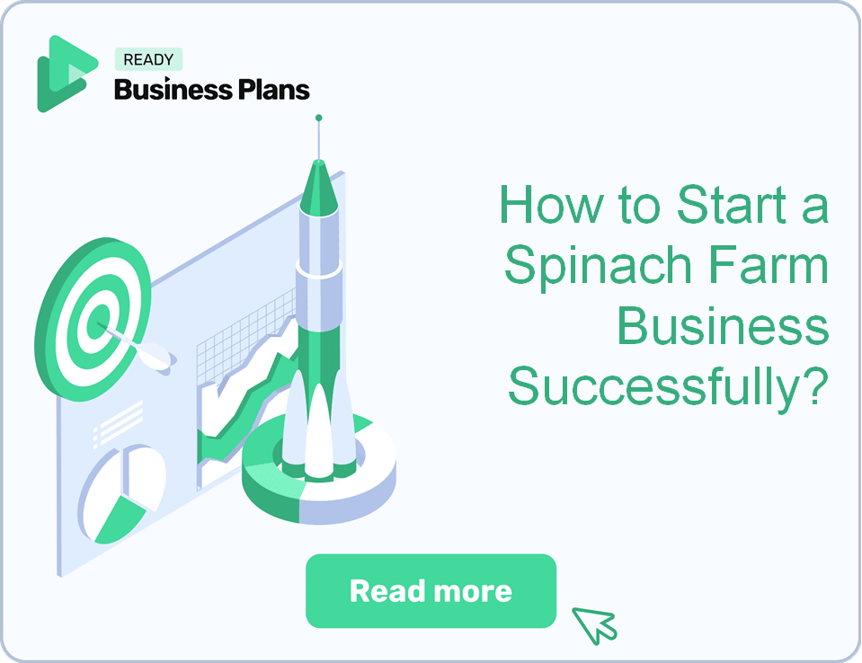 How to Start a Spinach Farm Business Successfully ...