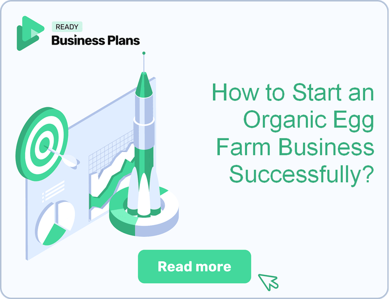 How to Start an Organic Egg Farm Business Successfully? – ReadyBizPlans.com