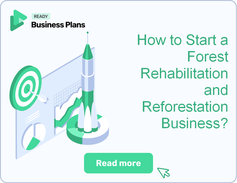 How to Start a Forest Rehabilitation and Reforestation Business ...