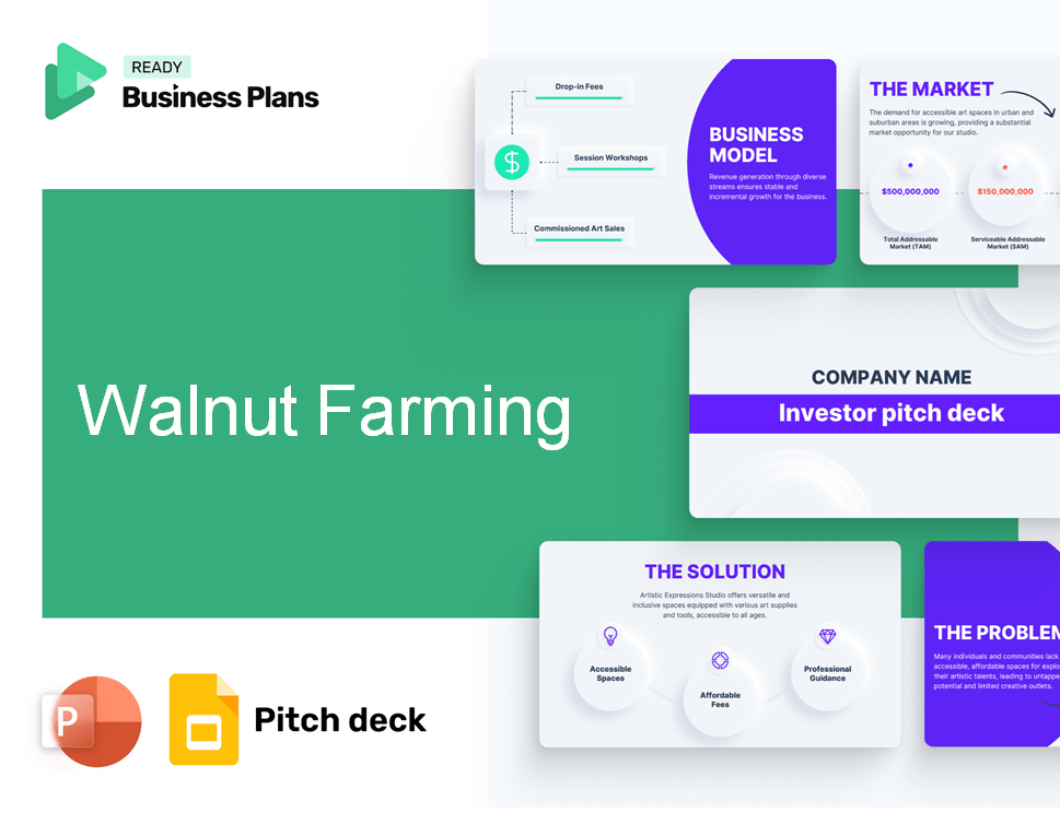Walnut Farming Pitch Deck – ReadyBizPlans.com
